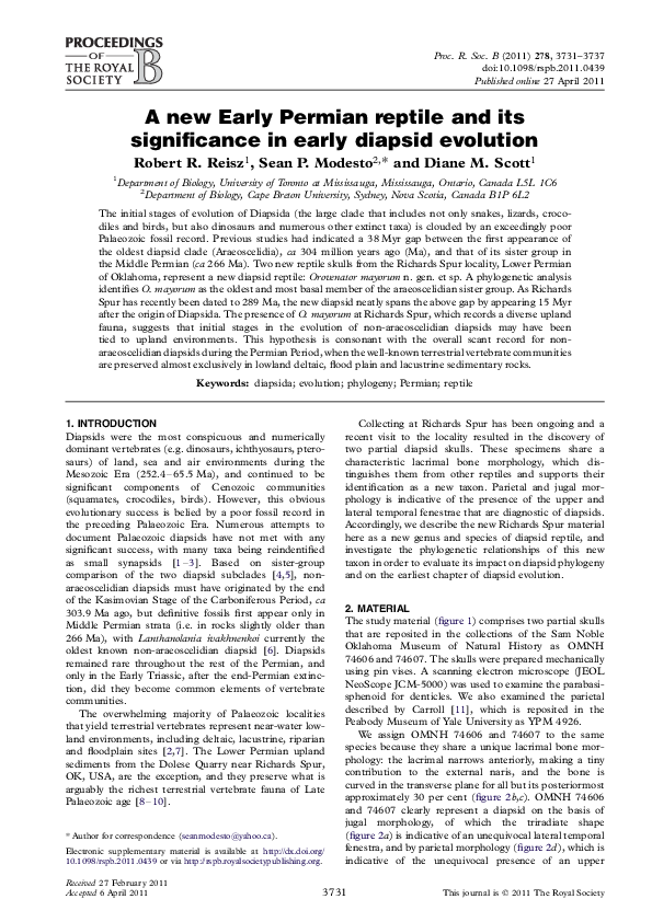 (PDF) A new Early Permian reptile and its significance in early diapsid ...