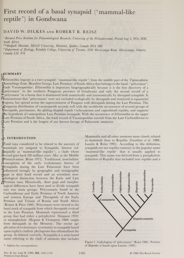 (PDF) First record of a basal synapsid (‘mammal-like reptile’) in Gondwana