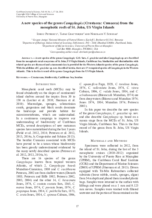 (PDF) A new species of the genusCampylaspis(Crustacea: Cumacea) from ...