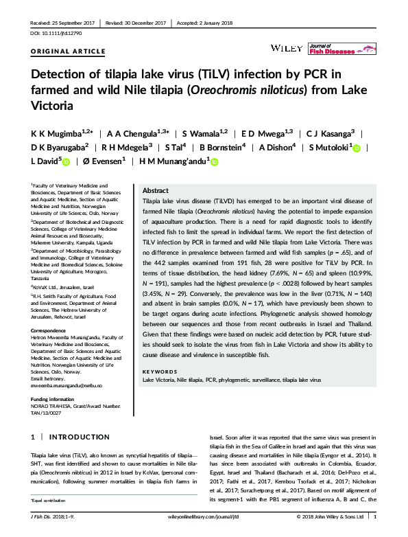 (PDF) Detection of tilapia lake virus (TiLV) infection by PCR in farmed ...