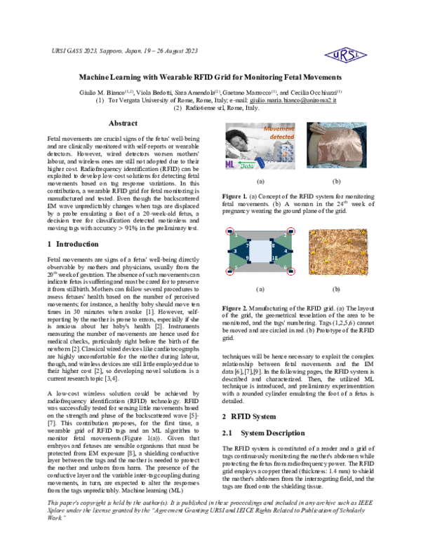 (PDF) Machine Learning with Wearable RFID Grid for Monitoring Fetal Movements | Giulio Maria ...