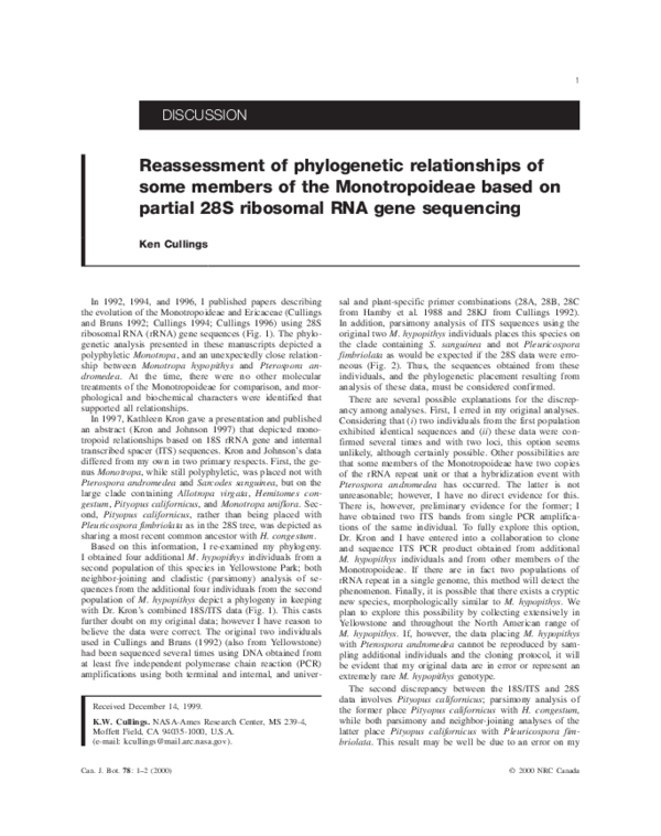 (PDF) Reassessment of the phylogenetic relationships of the late ...