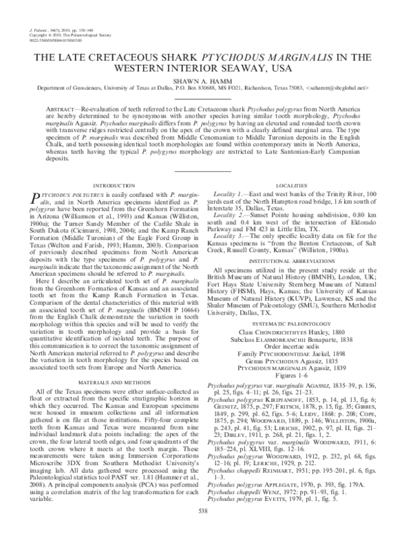 (PDF) The Late Cretaceous shark Ptychodus marginalis in the Western ...