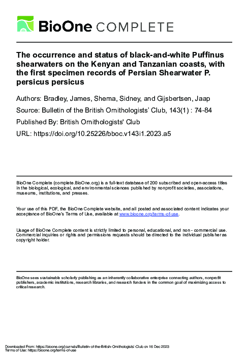 (PDF) The occurrence and status of black-and-white Puffinus shearwaters ...