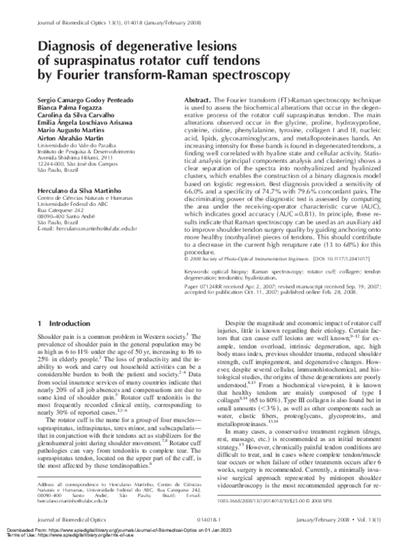 (PDF) Diagnosis of degenerative lesions of supraspinatus rotator cuff ...