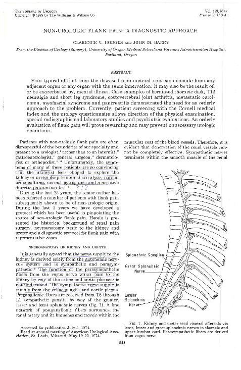 (PDF) Non-Urologic Flank Pain: A Diagnostic Approach