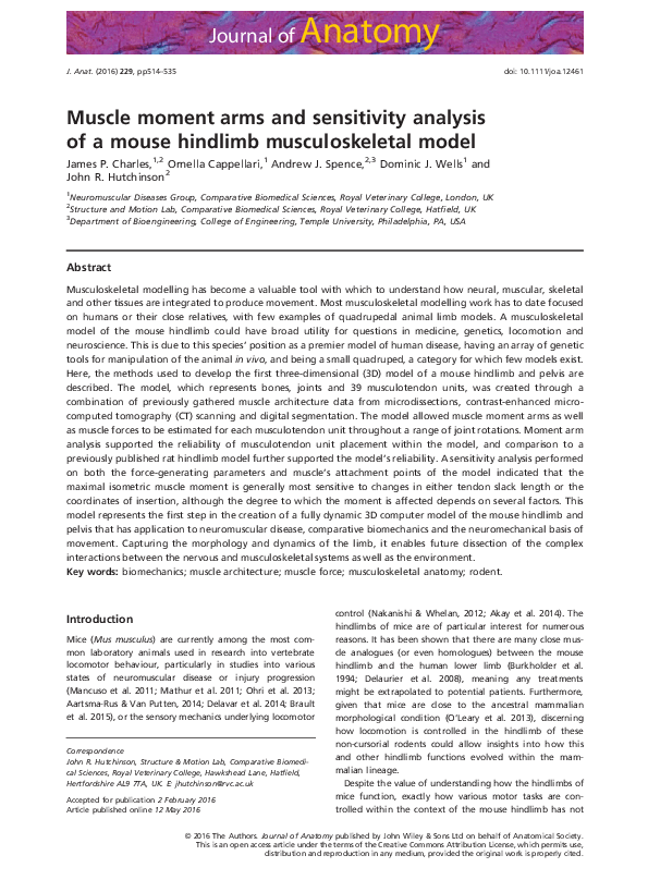 (PDF) Muscle moment arms and sensitivity analysis of a mouse hindlimb ...