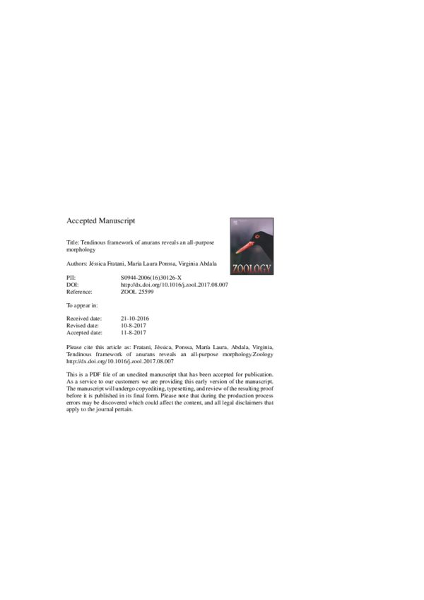 (PDF) Tendinous framework of anurans reveals an all-purpose morphology