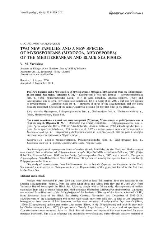 (PDF) Two New Families and a New Species of Myxosporeans (Myxozoa ... (PDF) Two New Families and a New Species of Myxosporeans (Myxozoa ...