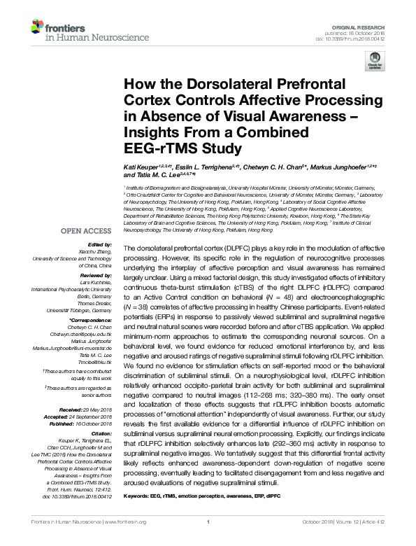 (PDF) How the Dorsolateral Prefrontal Cortex Controls Affective Processing in Absence of Visual ...