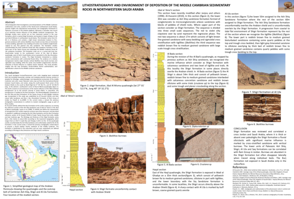 (PDF) Lithostratigraphy and Environment of Deposition of the Middle ...