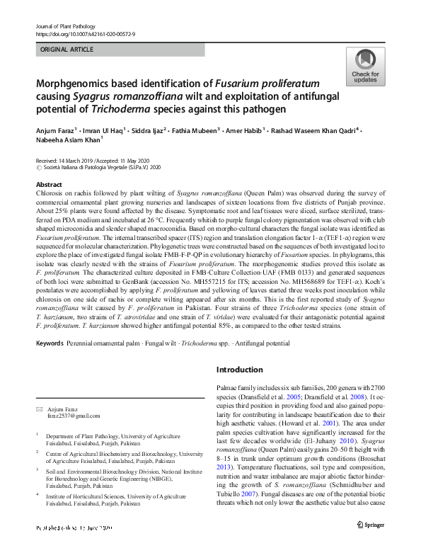 (PDF) Morphgenomics based identification of Fusarium proliferatum causing Syagrus romanzoffiana ...