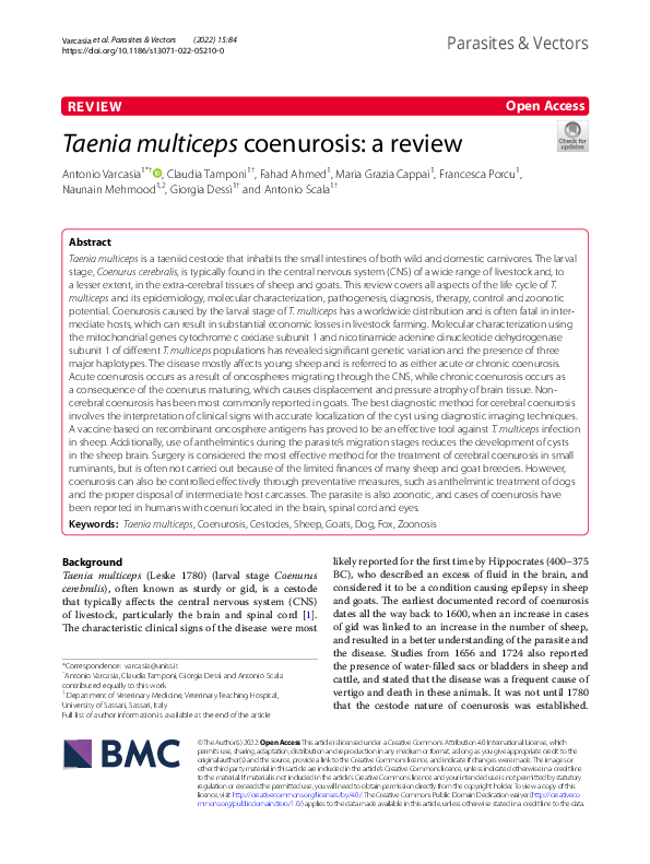 (PDF) Taenia multiceps coenurosis: a review
