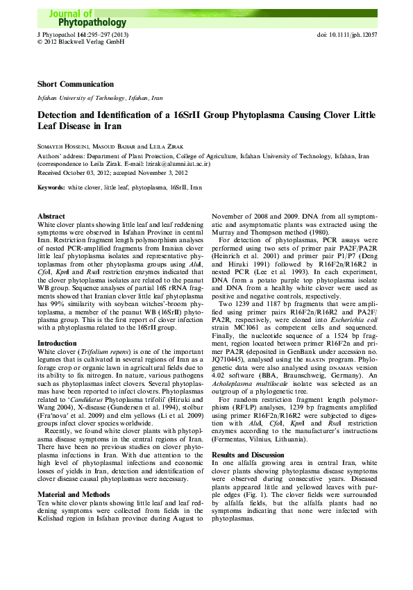 (PDF) Detection and Identification of a 16SrII Group Phytoplasma ...