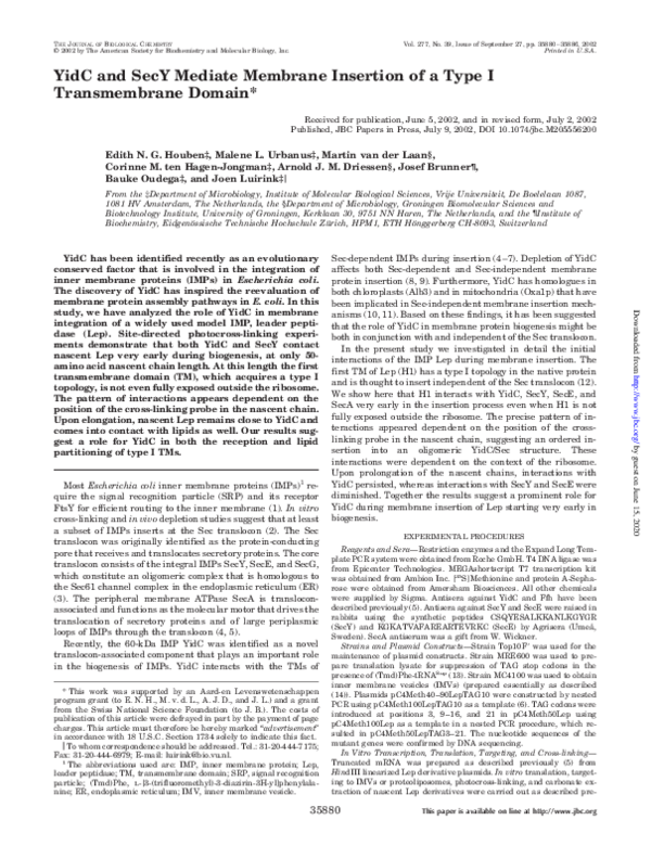 (PDF) YidC and SecY Mediate Membrane Insertion of a Type I ...