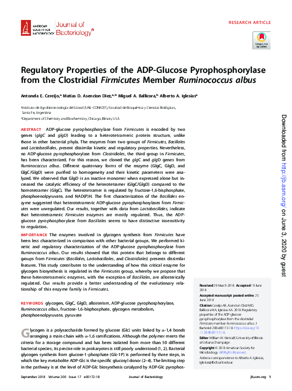 (PDF) Regulatory Properties of the ADP-Glucose Pyrophosphorylase from ...