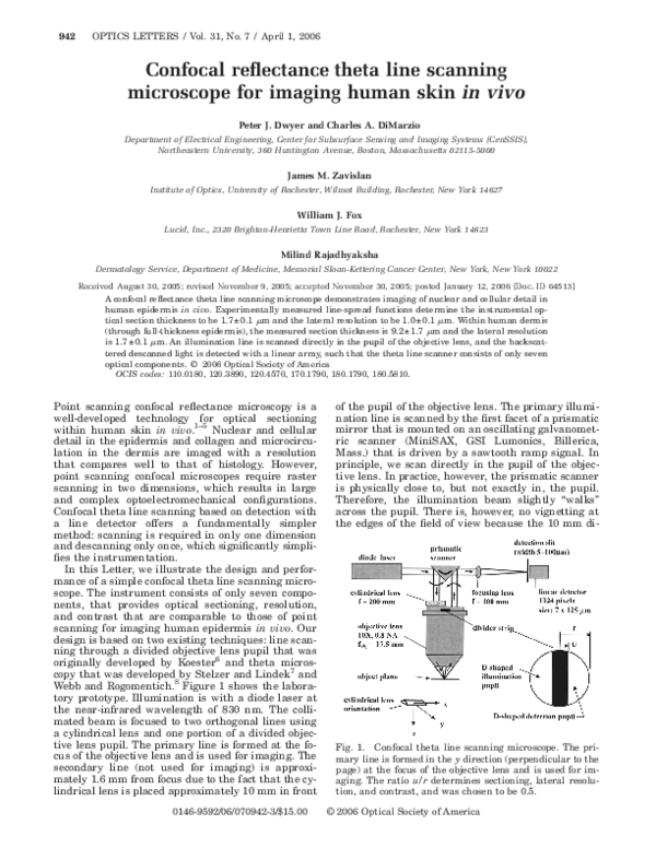 (PDF) Confocal Reflectance Theta Line-Scanning Microscope for Imaging ...