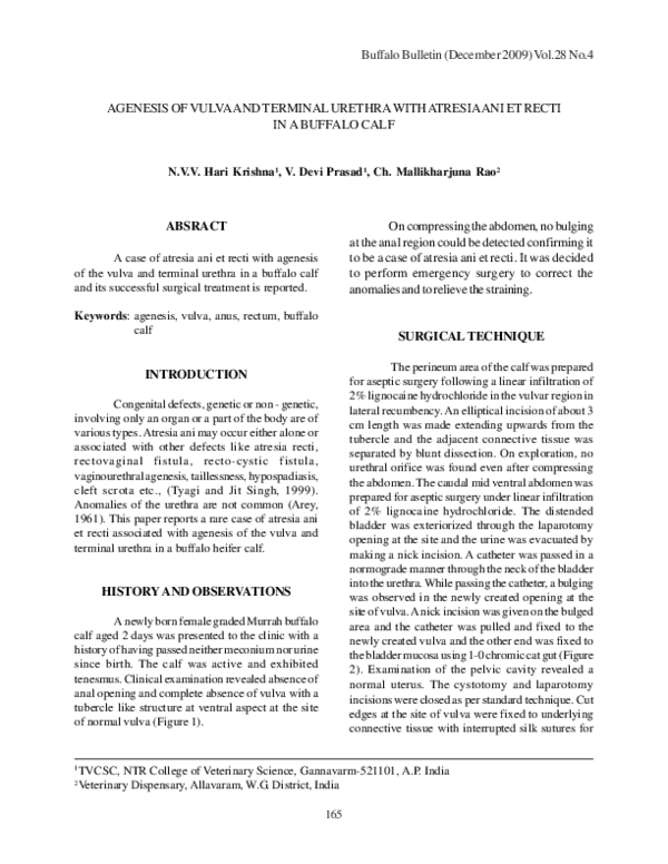 (PDF) Agenesis of Vulva and Terminal Urethra with Atresia Ani et Recti ...