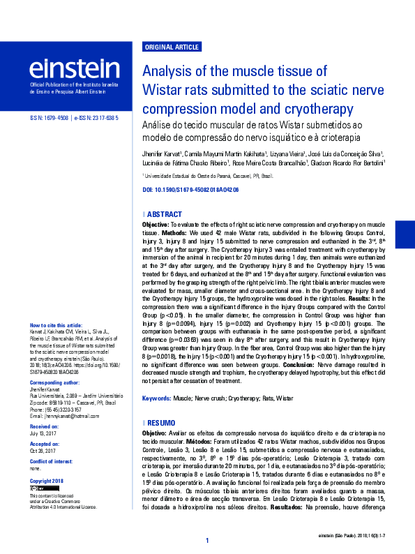 (PDF) Analysis of the muscle tissue of Wistar rats submitted to the ...