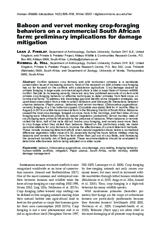 (PDF) Baboon and Vervet Monkey Crop-Foraging Behaviors on a Commercial ...