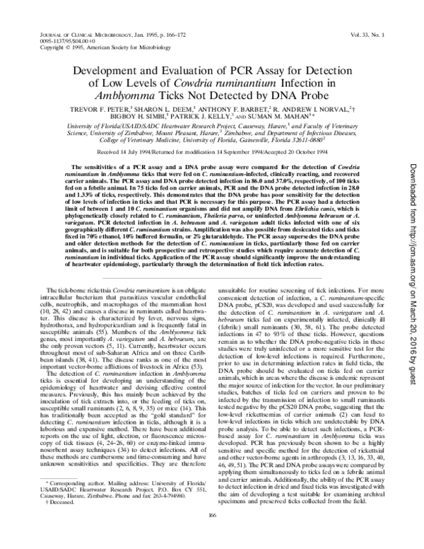 (PDF) Development and evaluation of PCR assay for detection of low ...
