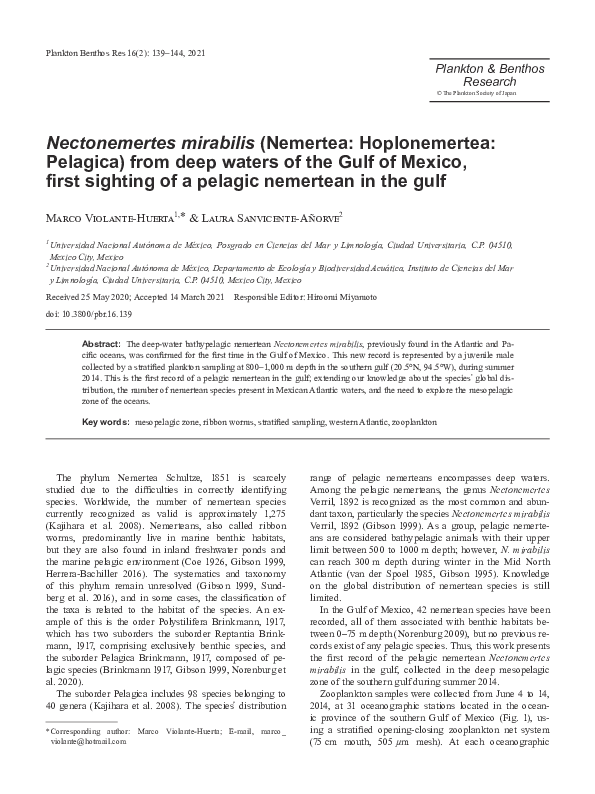 (PDF) Nectonemertes mirabilis (Nemertea: Hoplonemertea: Pelagica) from ...