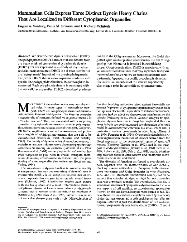 (PDF) Mammalian cells express three distinct dynein heavy chains that ...