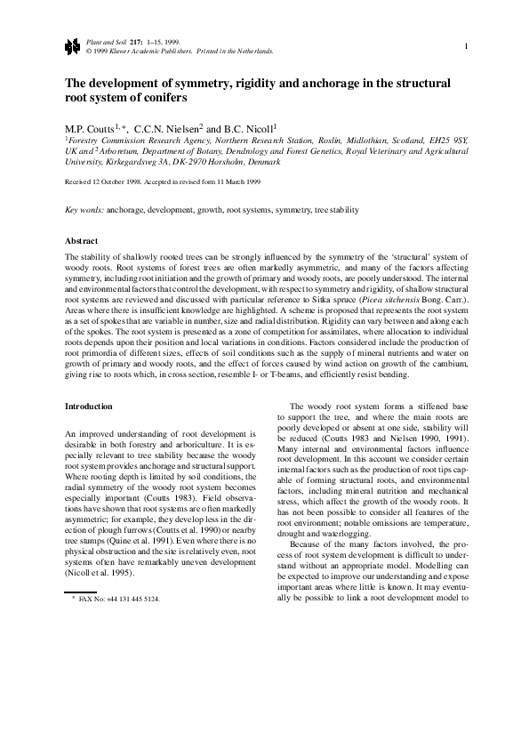 (PDF) The development of symmetry, rigidity and anchorage in the ...