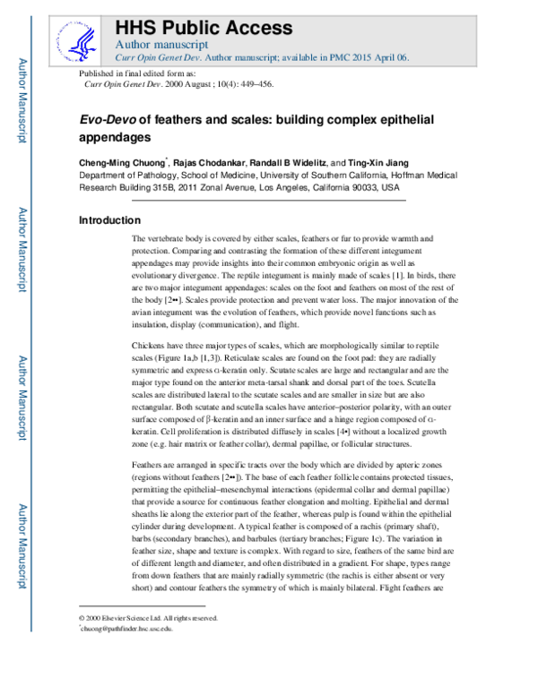 (PDF) Evo-Devo Insights on Feathers and Scales