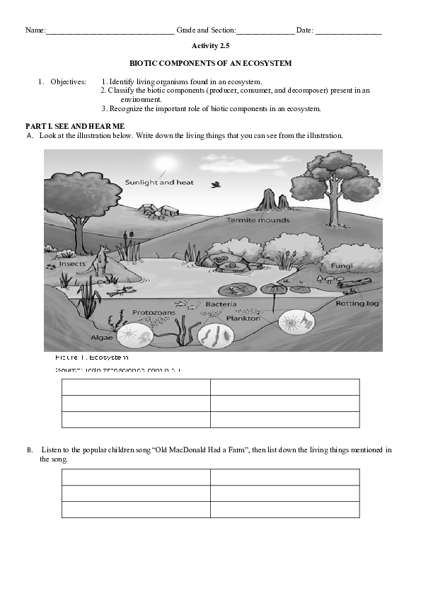 (DOC) ACTIVITY SHEET ON BIOTIC COMPONENTS OF ECOSYSTEM