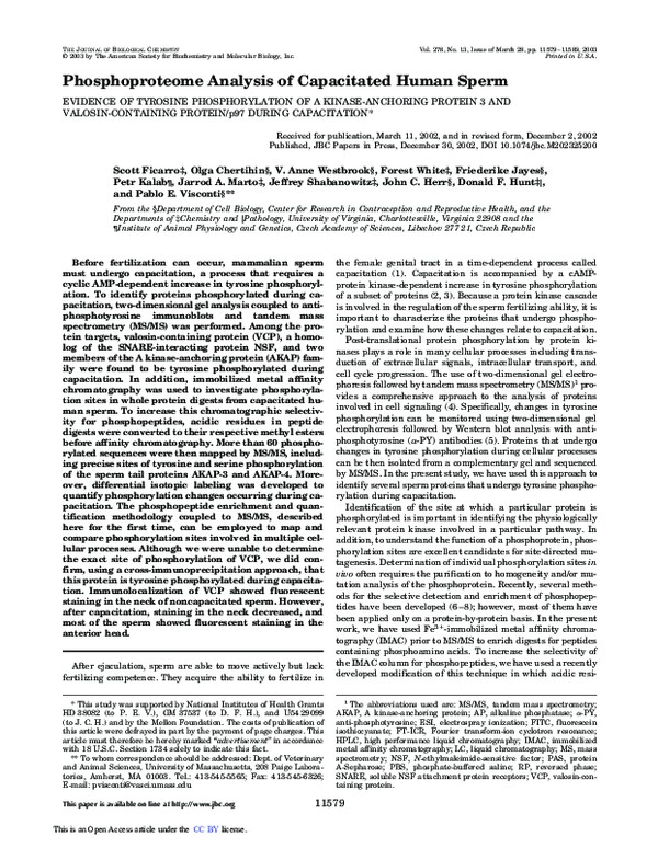 (PDF) Phosphoproteome Analysis of Capacitated Human Sperm