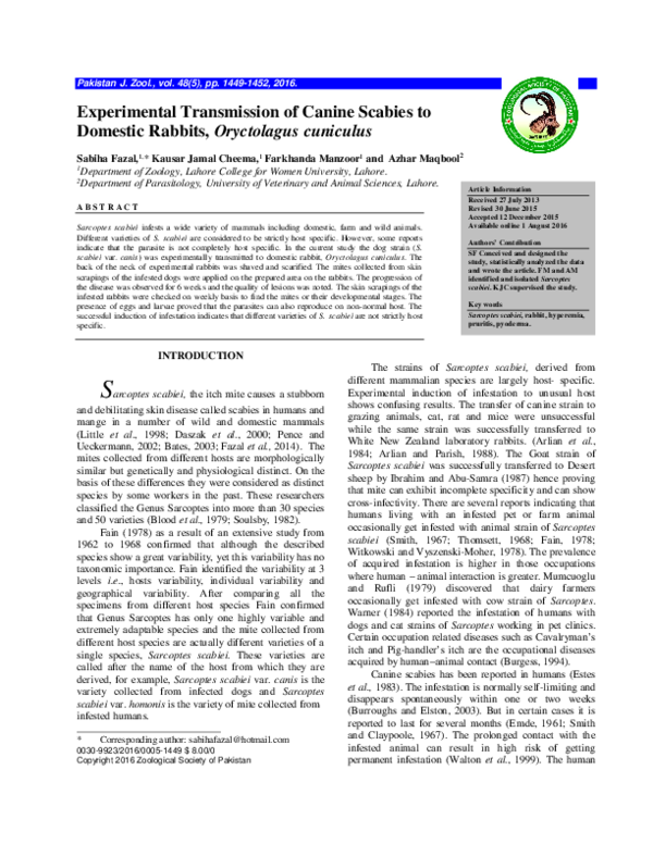 (PDF) Experimental Transmission of Canine Scabies to Domestic Rabbits ...