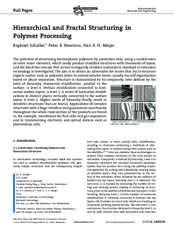 (PDF) Hierarchical and Fractal Structuring in Polymer Processing