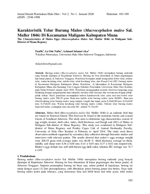 (PDF) Karakteristik Telur Burung Maleo (Macrocephalon maleo Sal. Muller ...