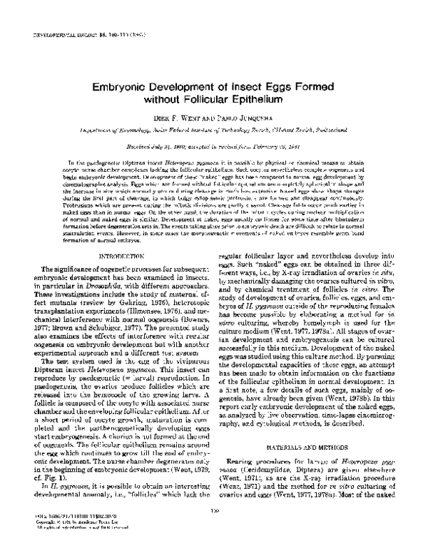 (PDF) Embryonic development of insect eggs formed without follicular ...