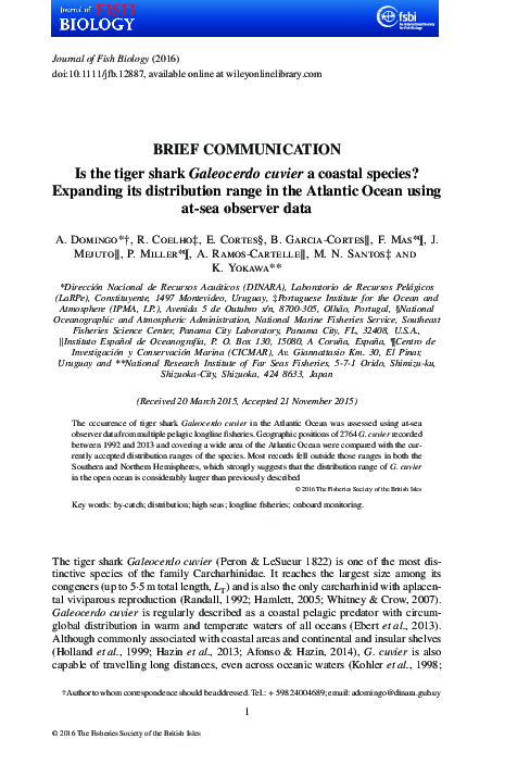 (PDF) BRIEF COMMUNICATION Is the tiger shark Galeocerdo cuvier a ...