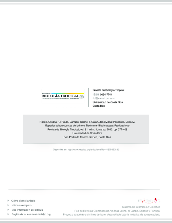 (PDF) Especies arborescentes del género Blechnum (Blechnaceae ...