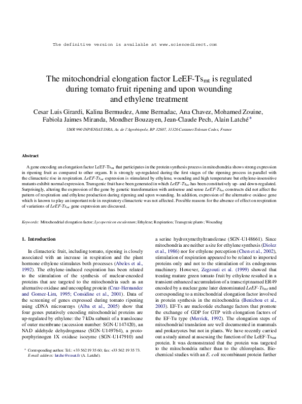 Pdf The Mitochondrial Elongation Factor Leef Tsmt Is Regulated During