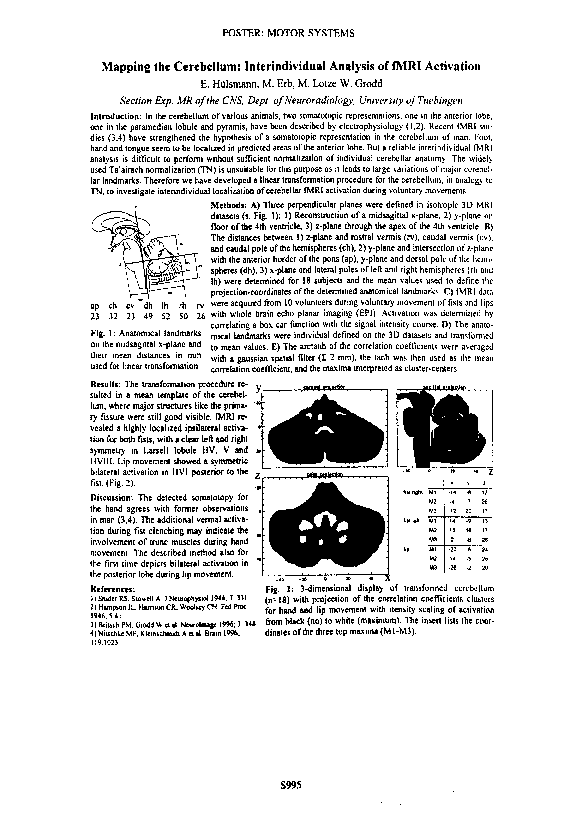 (PDF) Mapping the Cerebellum: Interindividual Analysis of fMRI Activation | Martin Lotze ...