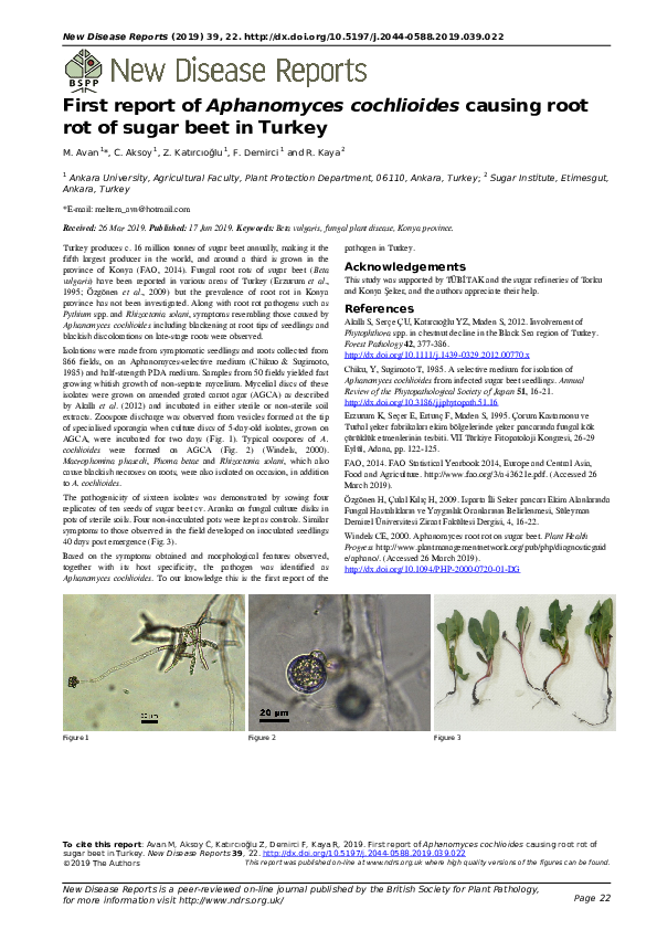 (PDF) First report of Aphanomyces cochlioides causing root rot of sugar beet in Turkey