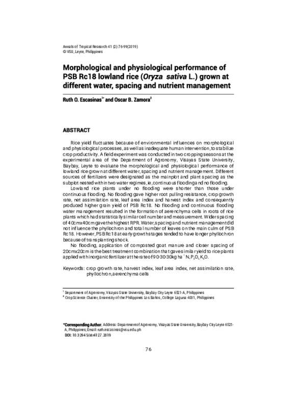 (PDF) Morphological and physiological performance of PSB Rc18 lowland ...