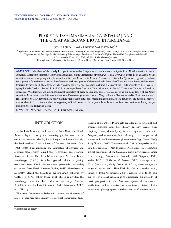 (PDF) Procyonidae (Mammalia, Carnivora) and the Great American Biotic ...