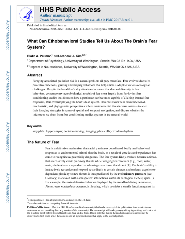 (PDF) What Can Ethobehavioral Studies Tell Us about the Brain's Fear ...