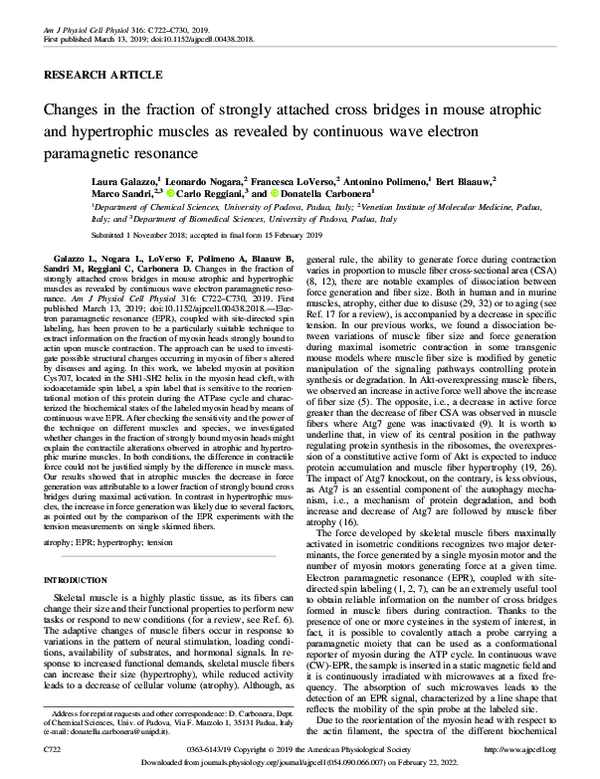 (PDF) Changes in the fraction of strongly attached cross bridges in ...