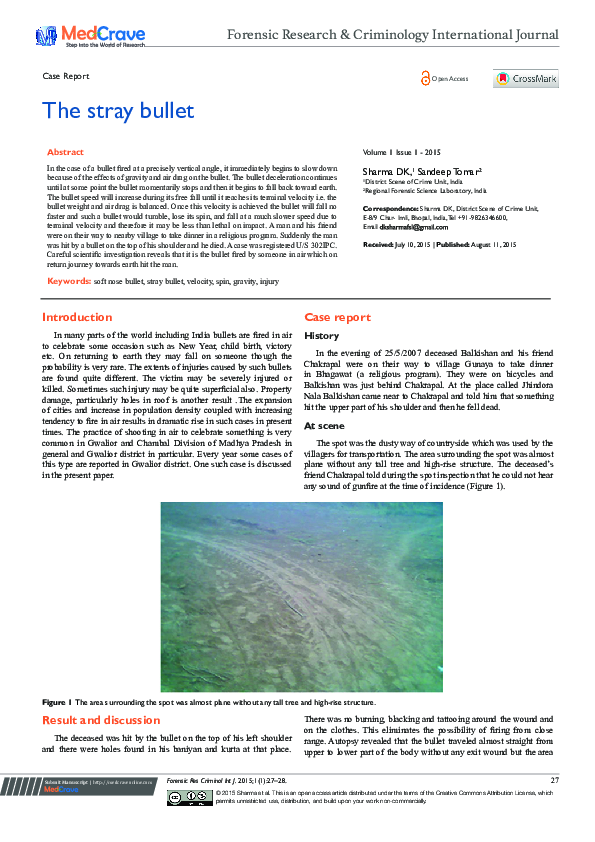 (PDF) The Stray Bullet