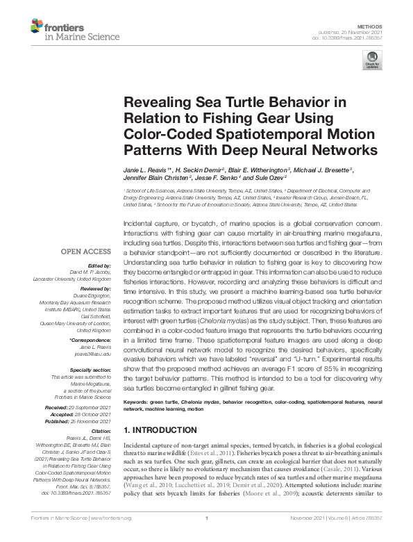 (PDF) Revealing Sea Turtle Behavior in Relation to Fishing Gear Using ...