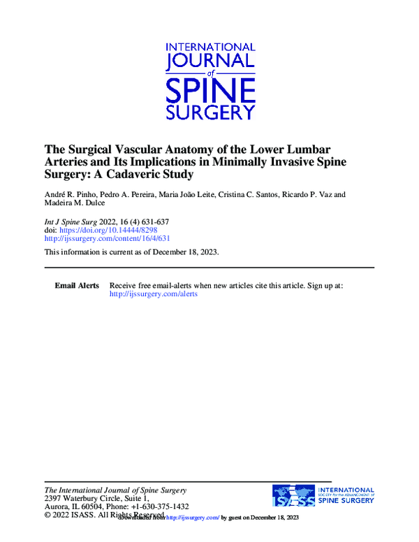 (PDF) The Surgical Vascular Anatomy of the Lower Lumbar Arteries and ...