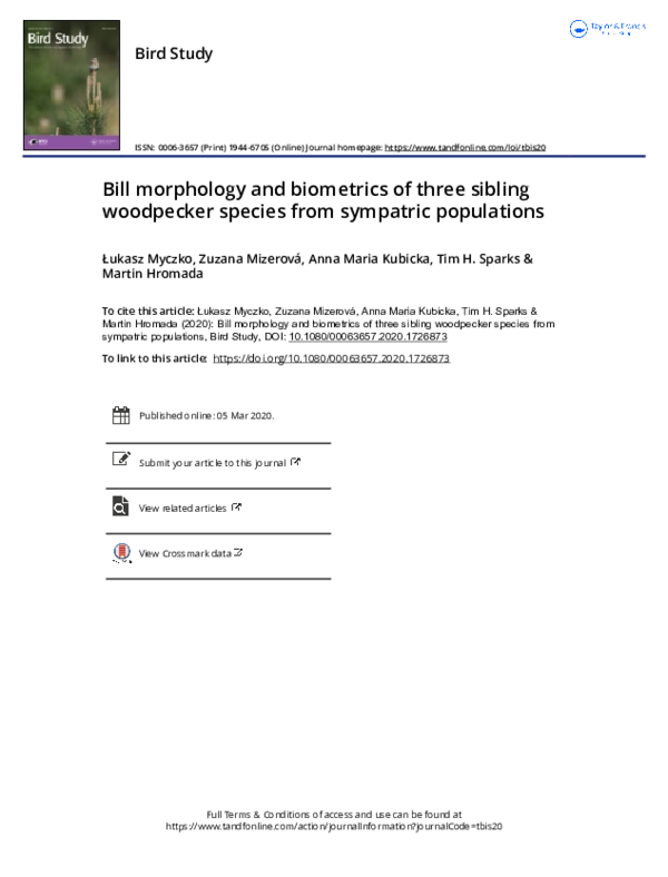 (PDF) Bill morphology and biometrics of three sibling woodpecker ...