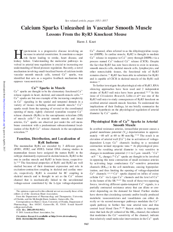 (PDF) Calcium Sparks Unleashed in Vascular Smooth Muscle