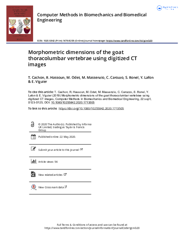 (PDF) Morphometric dimensions of the goat thoracolumbar vertebrae using digitized CT images